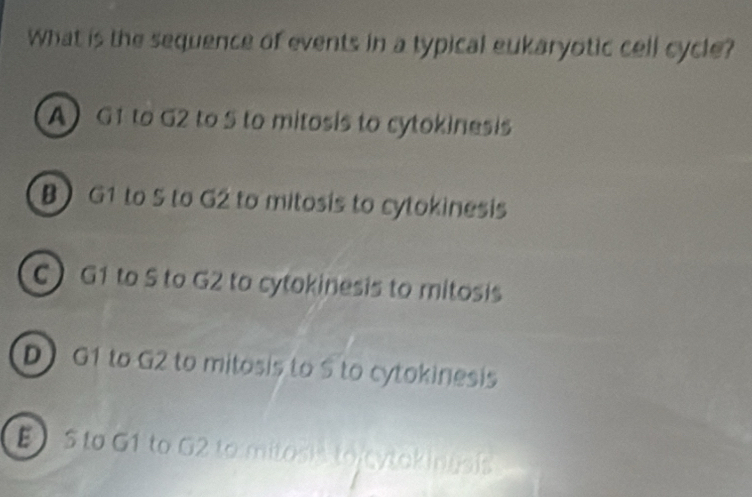 Solved: What is the sequence of events in a typical eukaryotic cell ...