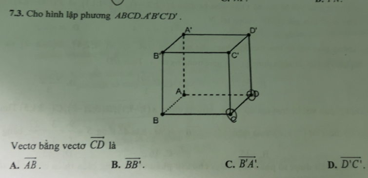Giải quyết:Cho hình lập phương ABCD. A'B'C'D'. Vectơ bằng vectơ vector ...