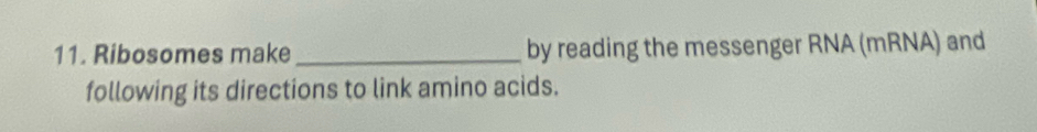 Resuelto:Ribosomes make_ by reading the messenger RNA (mRNA) and ...