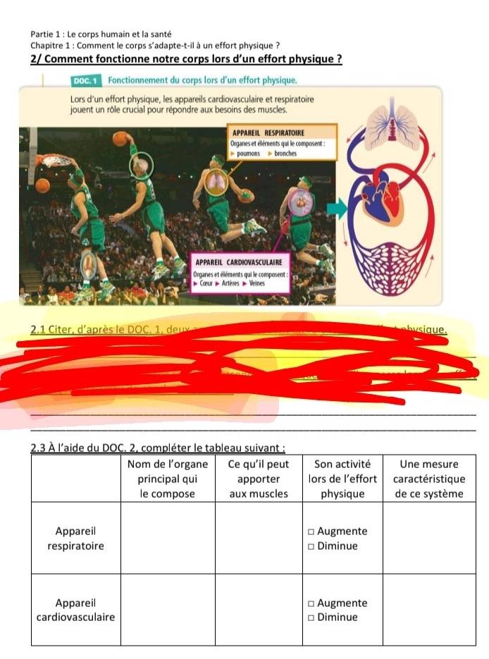 Résolu :Partie 1 : Le corps humain et la santé Chapitre 1 : Comment le ...