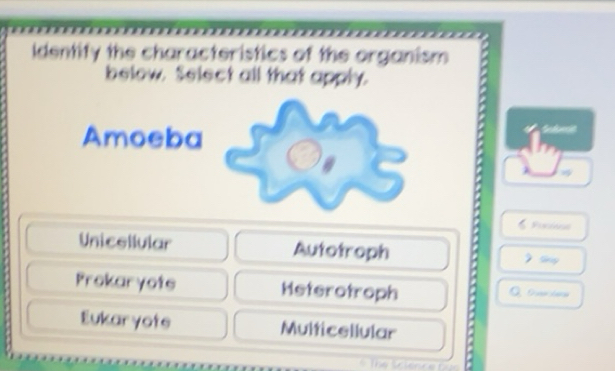 Solved: Identity the characteristics of the organism below. Select all ...