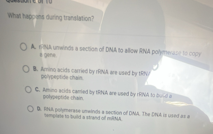 Solved: What happens during translation? A. rRNA unwinds a section of ...