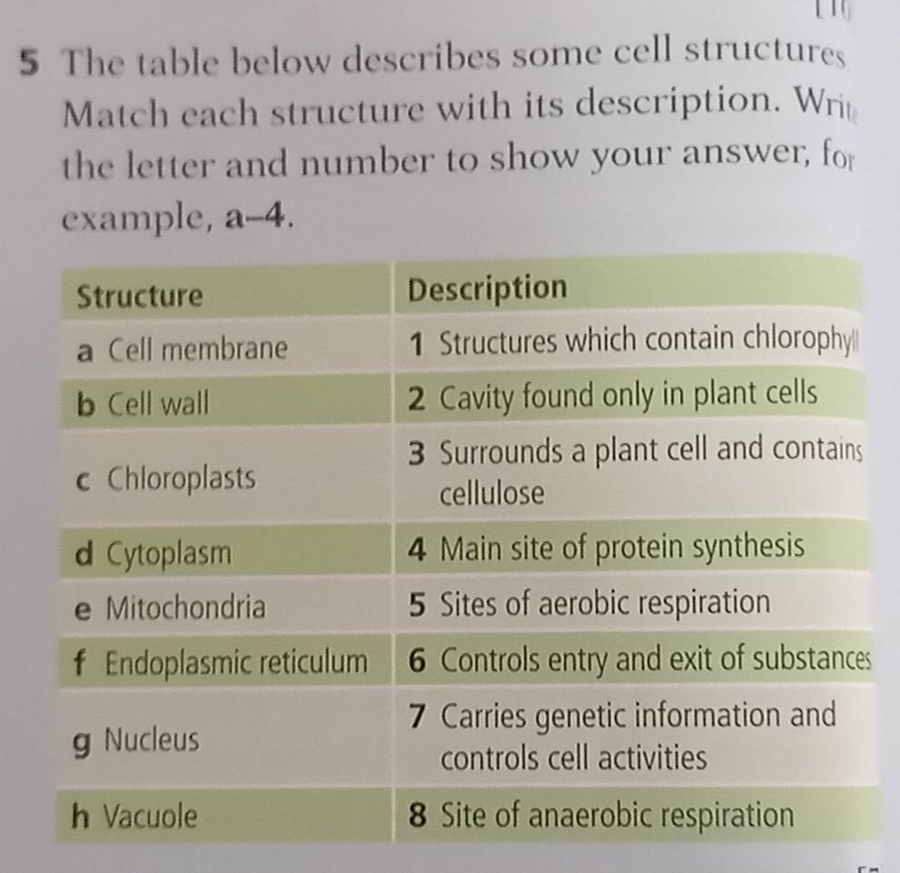 Risolto:The table below describes some cell structures Match each ...