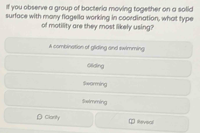 Solved: If you observe a group of bacteria moving together on a solid surface with many flagella ...