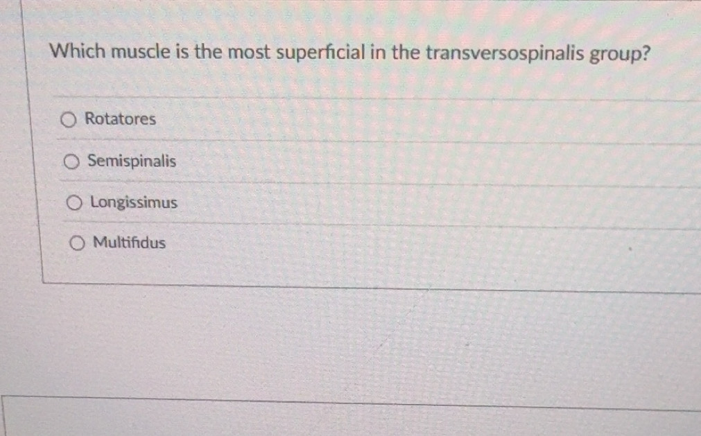 Solved: Which muscle is the most superficial in the transversospinalis ...