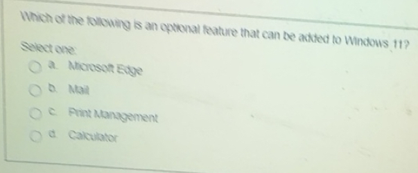 Solved: Which of the following is an optional feature that can be added ...