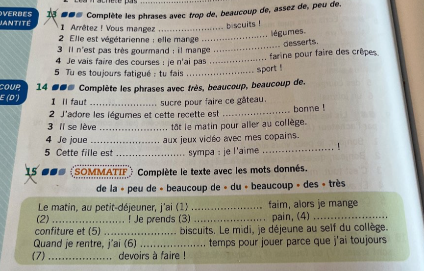 Risolto:acnete pás VERBES 13 --. Complète les phrases avec trop de ...