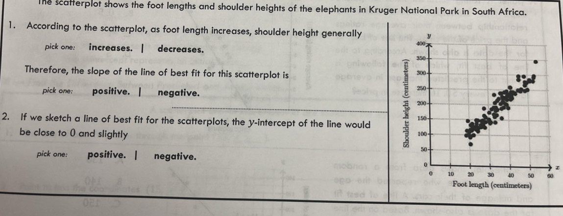 Solved: The scatterplot shows the foot lengths and shoulder heights of ...