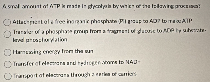 Solved: A small amount of ATP is made in glycolysis by which of the ...