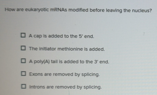 Solved: How are eukaryotic mRNAs modified before leaving the nucleus? A ...