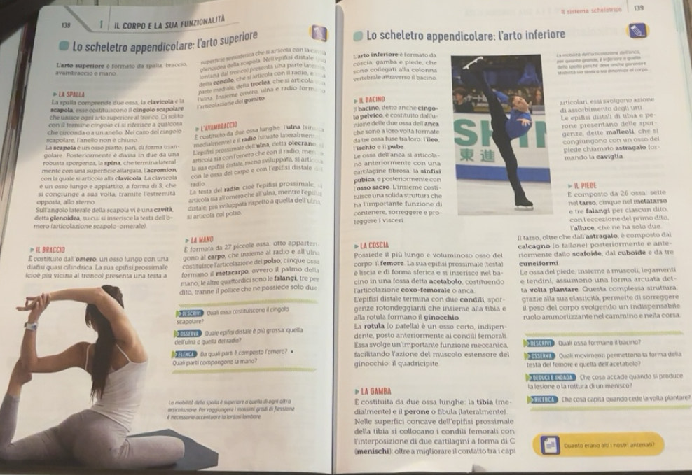 Risolto:130 1 Il CORpO E LA SUA FUNzIONAlITà I sistema schefetricn 139 ...