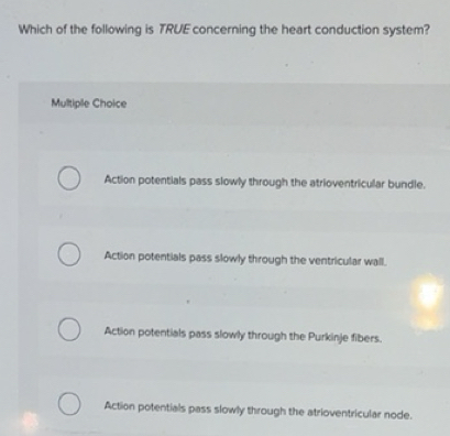 Solved: Which of the following is TRUE concerning the heart conduction ...