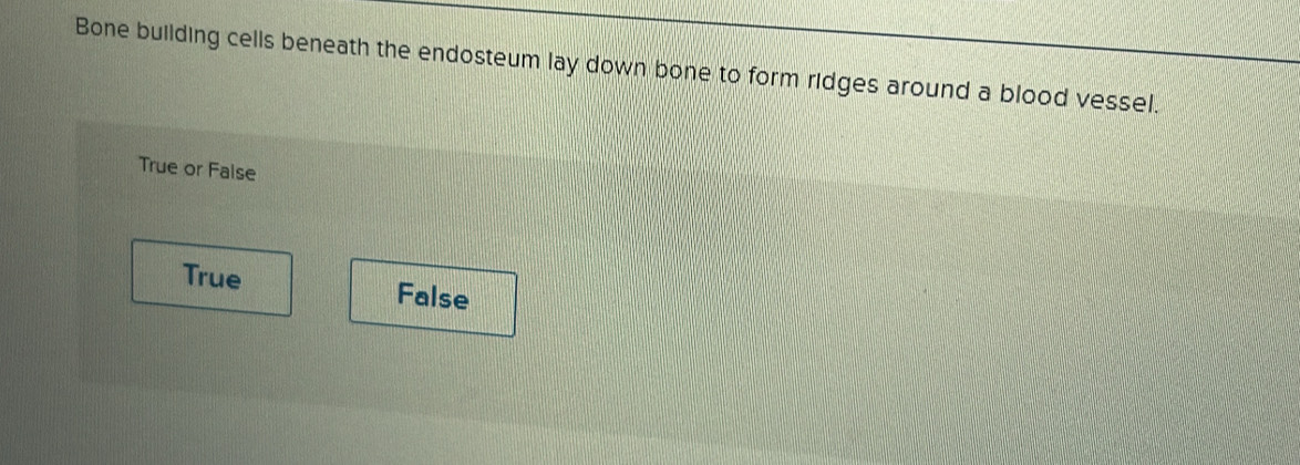 Solved: Bone building cells beneath the endosteum lay down bone to form ...