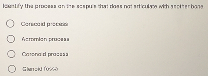 Solved: ldentify the process on the scapula that does not articulate ...