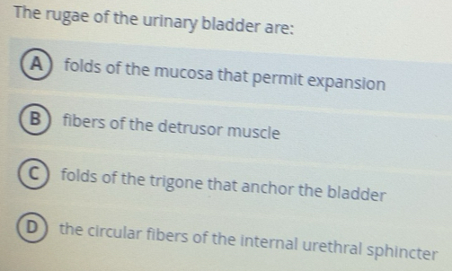 Solved: The rugae of the urinary bladder are: A folds of the mucosa ...