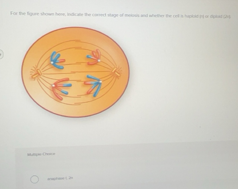 Solved: For the figure shown here, Indicate the correct stage of ...