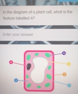 Solved: In the diagram of a plant celll, what is the feature labelled A? Enter your answer [Biology]