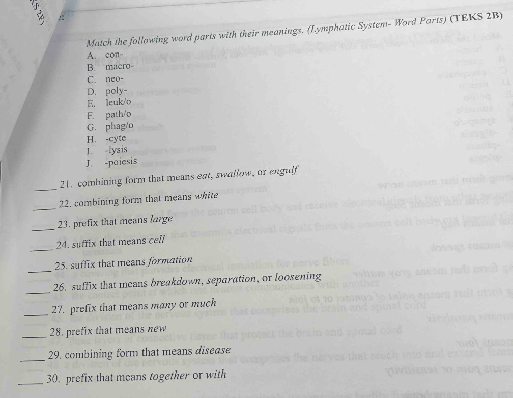 Solved: Match the following word parts with their meanings. (Lymphatic ...