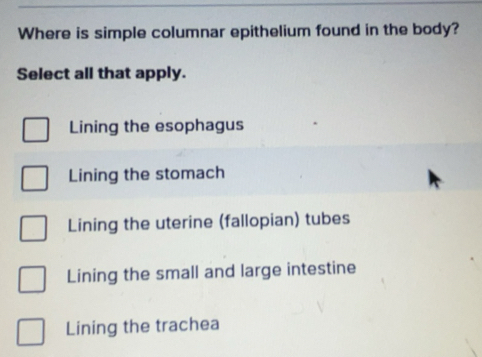 Solved: Where is simple columnar epithelium found in the body? Select ...