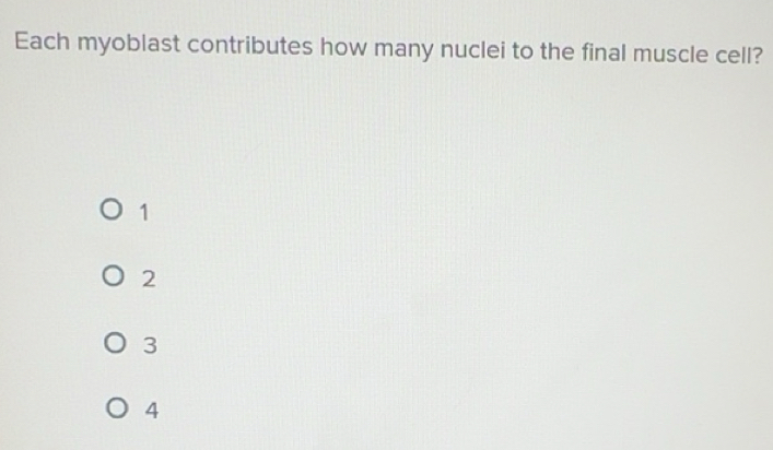 Solved: Each myoblast contributes how many nuclei to the final muscle ...