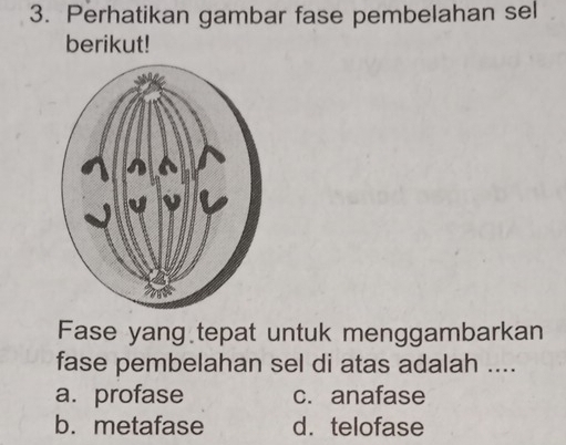 Telah dijawab:Perhatikan gambar fase pembelahan sel berikut! Fase yang ...