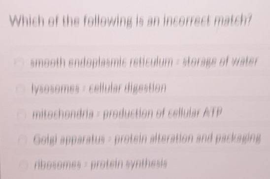 Solved: Which of the following is an incorrect match? smooth ...