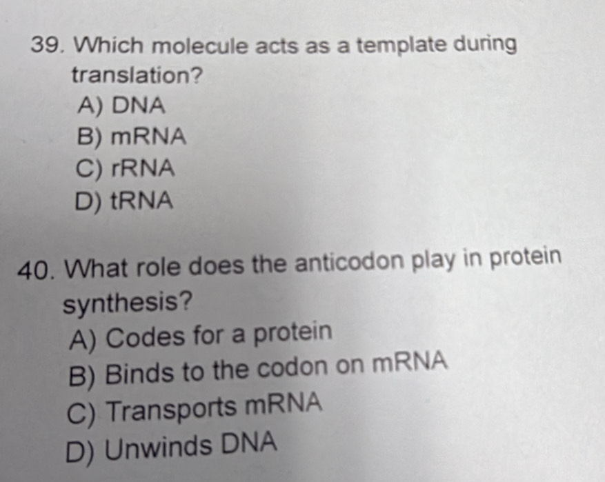 Solved: Which molecule acts as a template during translation? A) DNA B ...