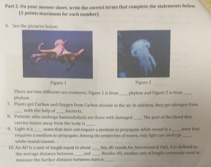 Solved: On your answer sheet, write the correct terms that complete the ...