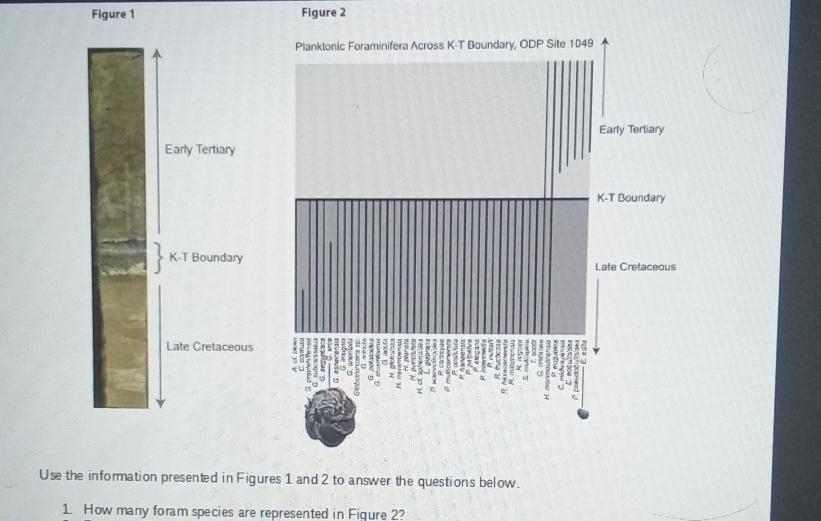Solved: Figure 1 Figure 2 s Use the information presented in Figures 1 ...