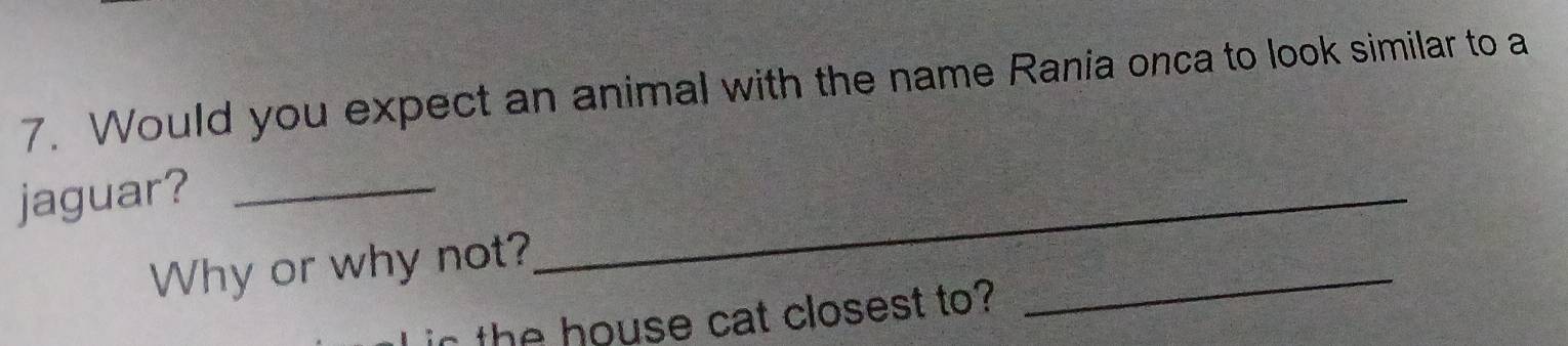 Solved: Would you expect an animal with the name Rania onca to look ...