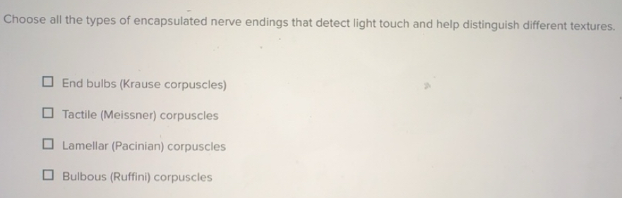 Solved: Choose all the types of encapsulated nerve endings that detect ...