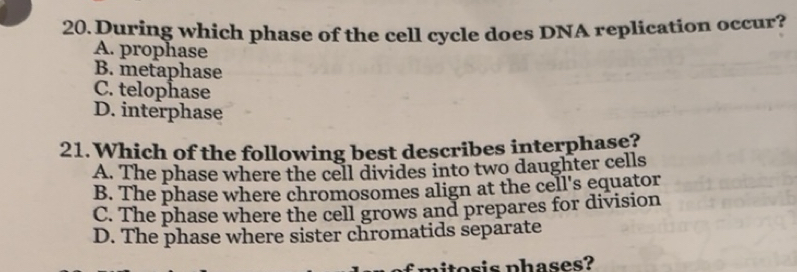 Solved: During which phase of the cell cycle does DNA replication occur ...