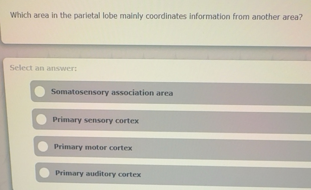 Solved: Which area in the parietal lobe mainly coordinates information ...