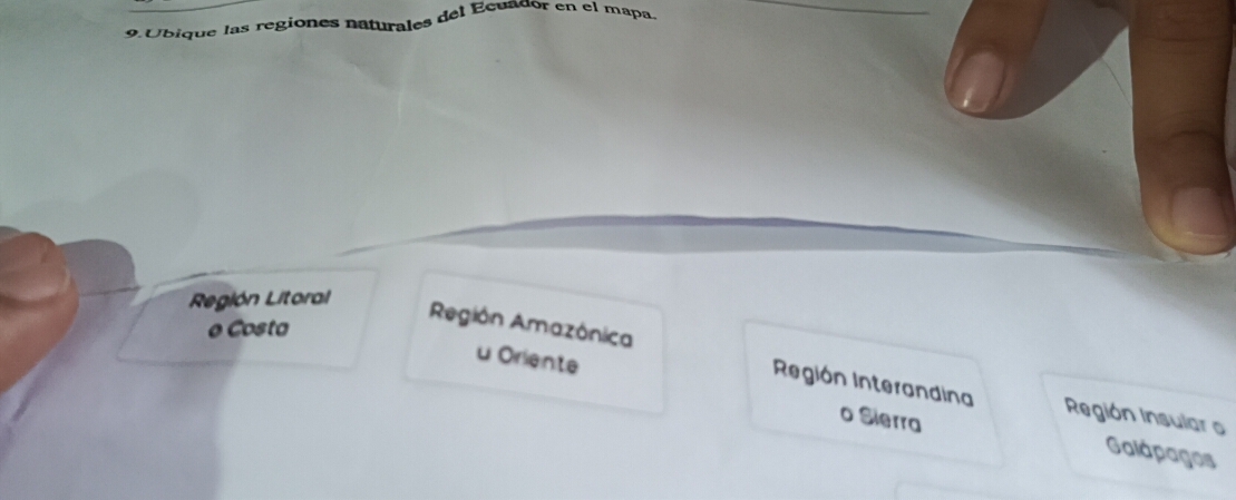 Resuelto:Ubique las regiones naturales del Ecuador en el mapa. Región ...