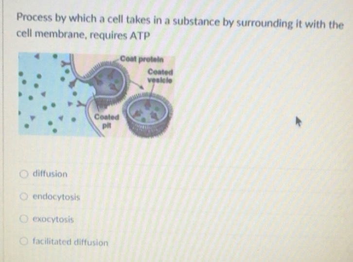 Solved: Process by which a cell takes in a substance by surrounding it ...