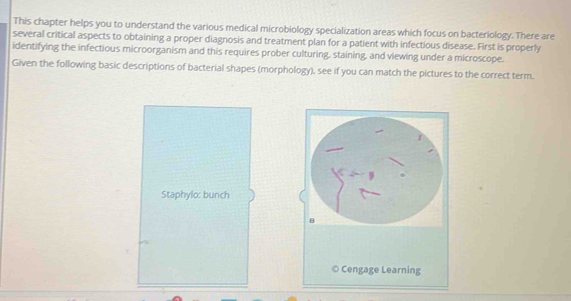 Solved: This chapter helps you to understand the various medical ...