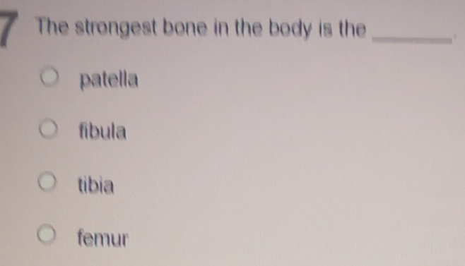 Solved: The strongest bone in the body is the_ patella fibula tibia ...