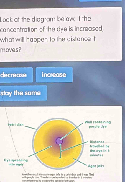 Solved: Look at the diagram below. If the concentration of the dye is ...