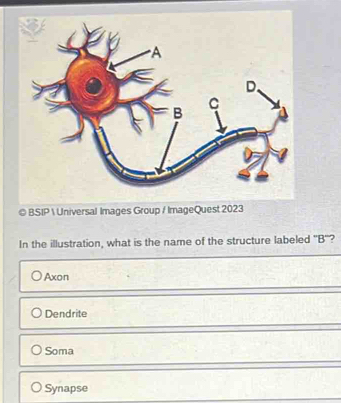 Solved: BSIP Universal Images Group / ImageQuest 2023 In the ...