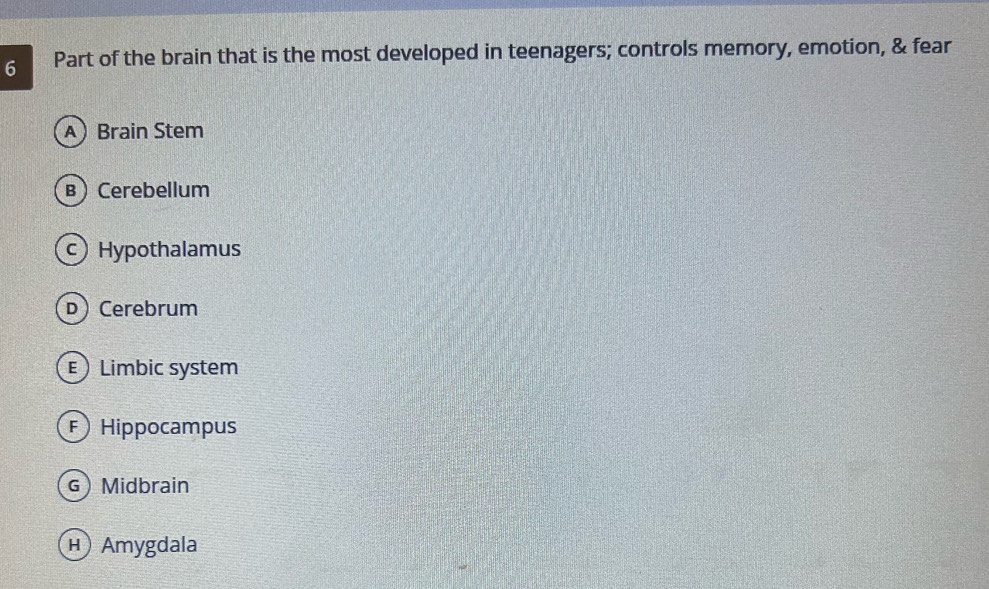 Solved: Part of the brain that is the most developed in teenagers ...