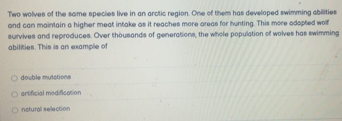 Solved: Two wolves of the same species live in an arctic region. One of ...