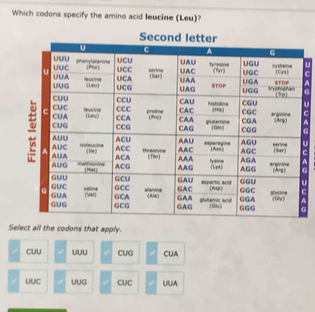 Solved: Which codons specify the amino acid leucine (Leu)? U C A G U C ...