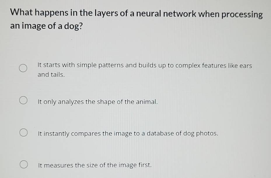 Solved: What happens in the layers of a neural network when processing ...