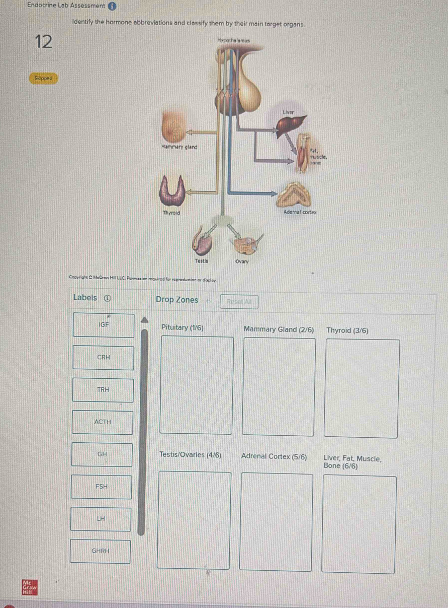Solved: Endocrine Lab Assessment Identify the hormone abbreviations and classify them by their ...