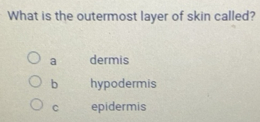 Solved: What is the outermost layer of skin called? a dermis b ...