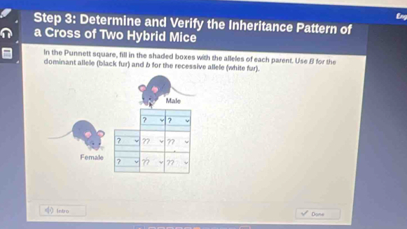 Solved: Eng Step 3: Determine and Verify the Inheritance Pattern of a ...