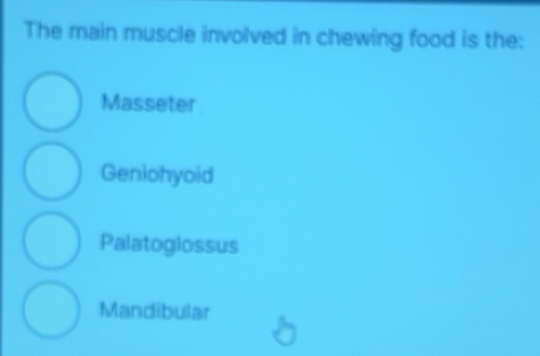 Solved: The main muscle involved in chewing food is the: Masseter ...