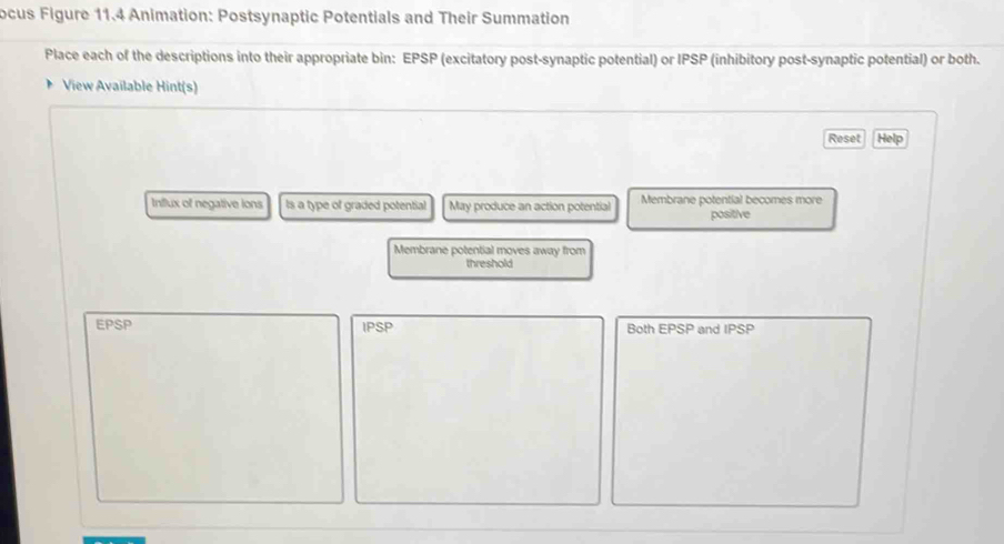 Solved Ocus Figure 11 4 Animation Postsynaptic Potentials And Their Summation Place Each Of