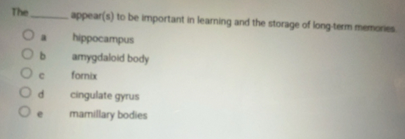 Solved: The_ appear(s) to be important in learning and the storage of ...