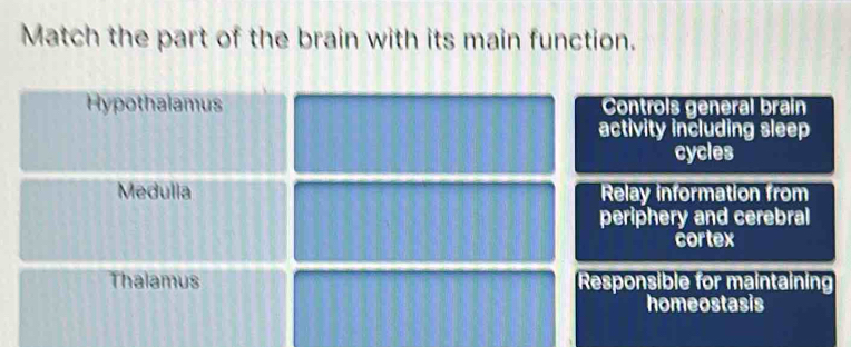 Solved: Match the part of the brain with its main function ...